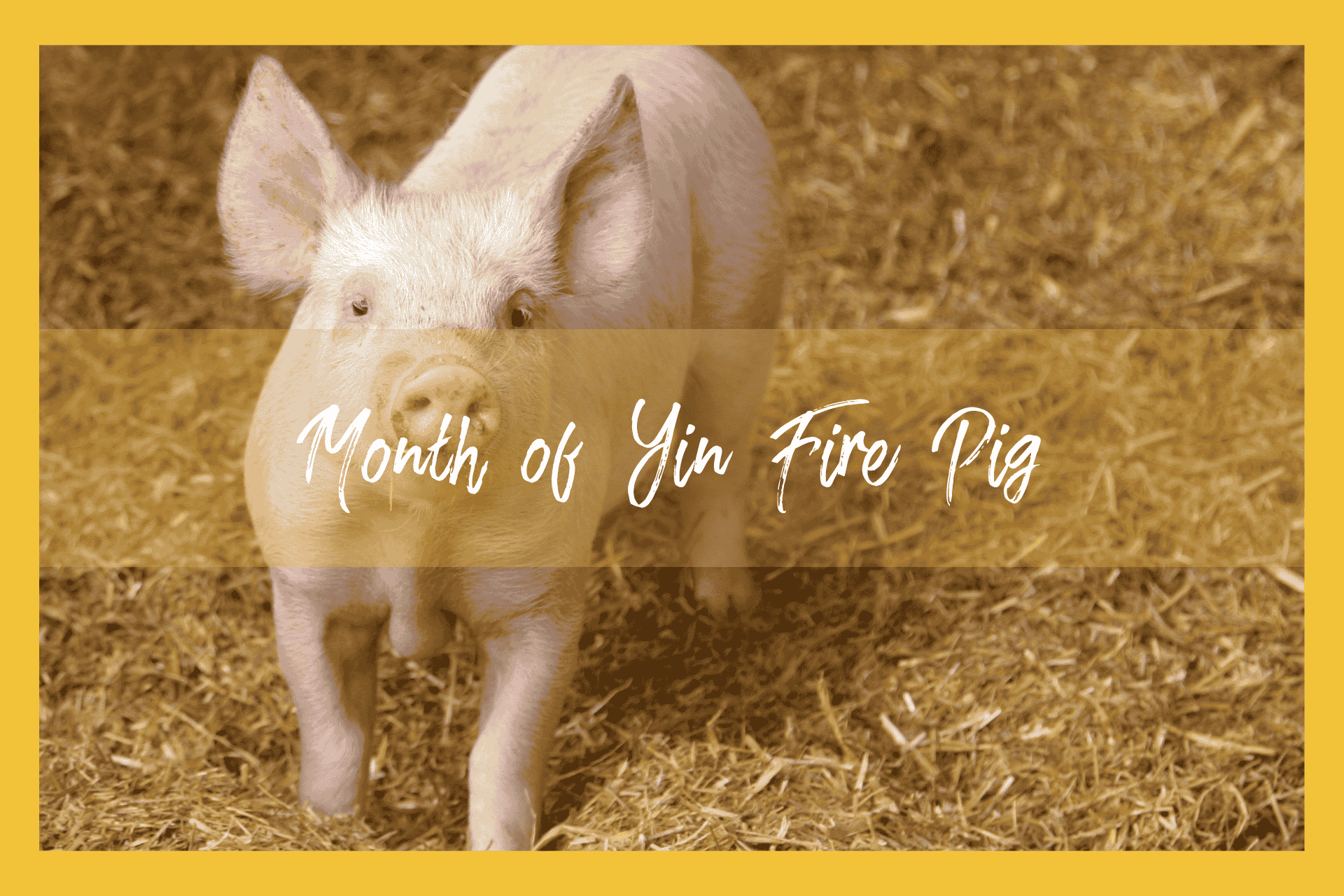 The Month of the Pig 2025 – Your Energy Forecast for November - Feng ...